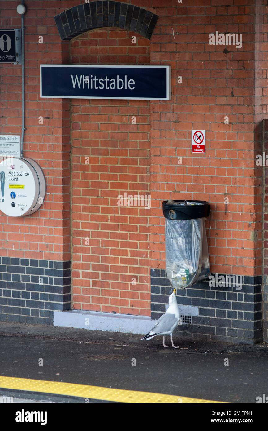 The Southeastern railways station at Whitstable,Kent, UK. Whitstable is ...