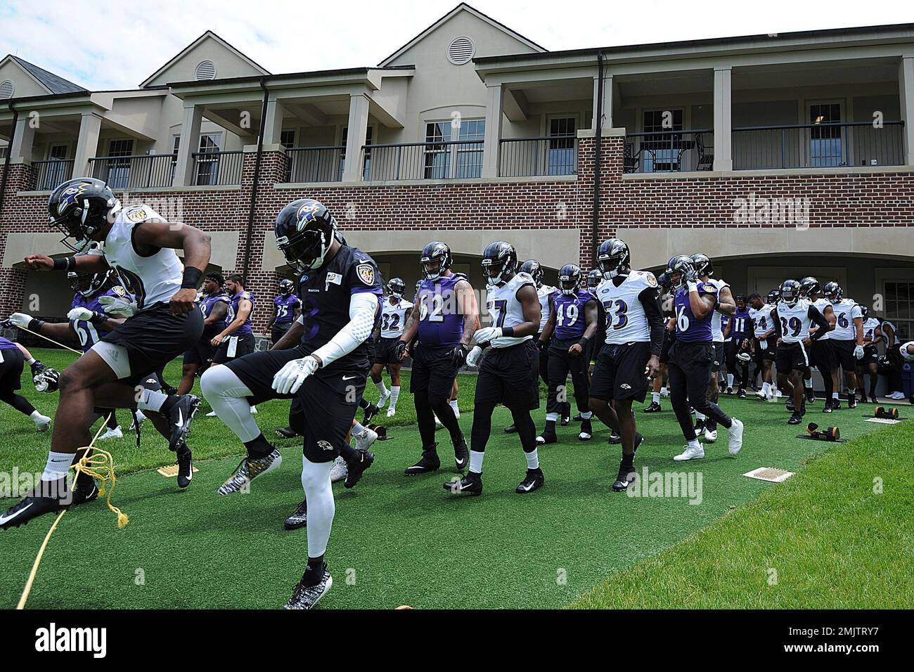 Baltimore Ravens take the field for a NFL football practice Thursday ...
