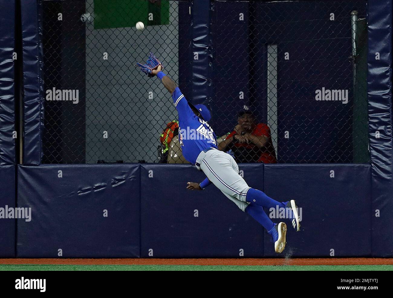 Toronto Blue Jays center fielder Jonathan Davis makes a diving catch on ...