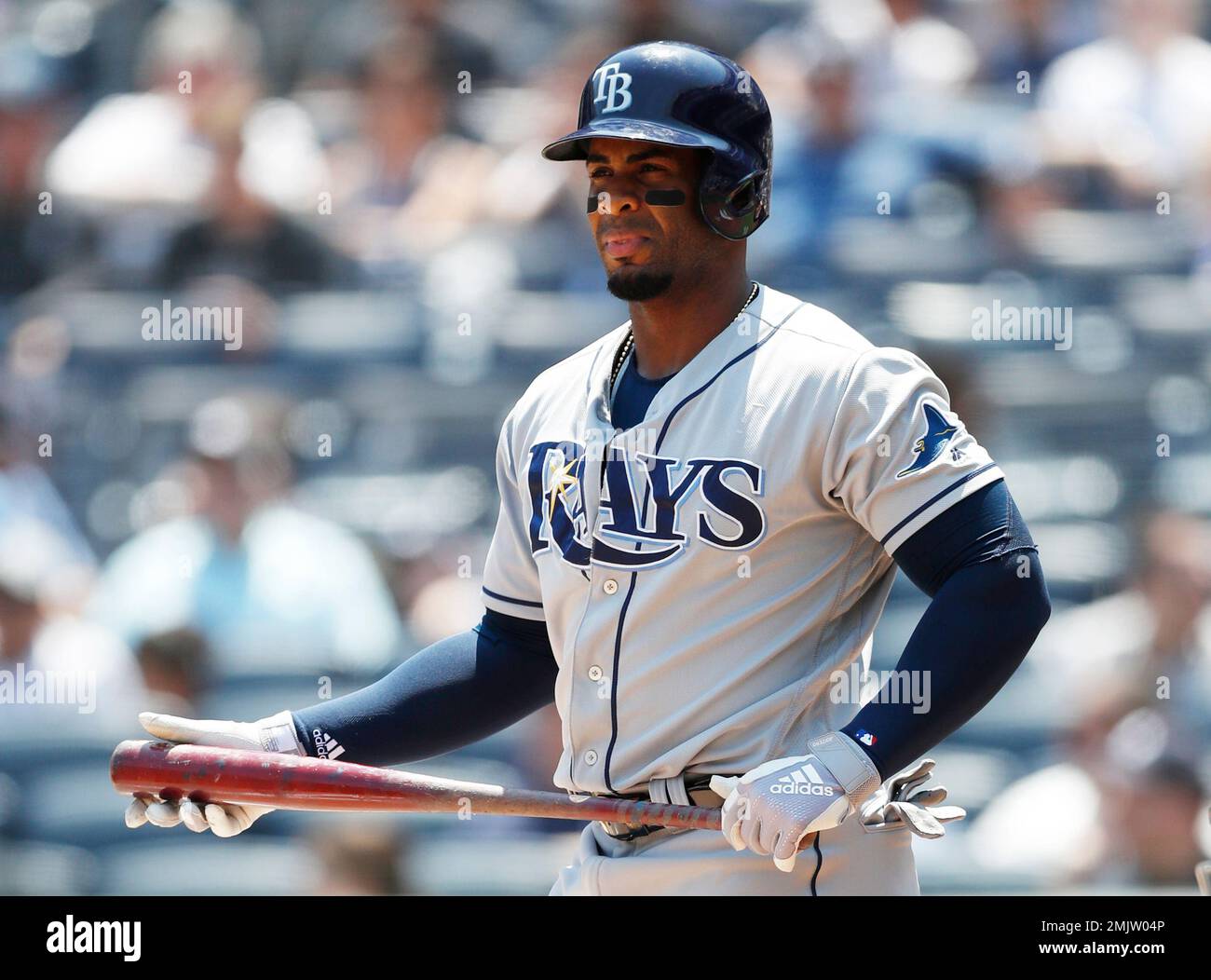 Tampa Bay Rays Yandy Diaz stands at the plate during a baseball game ...