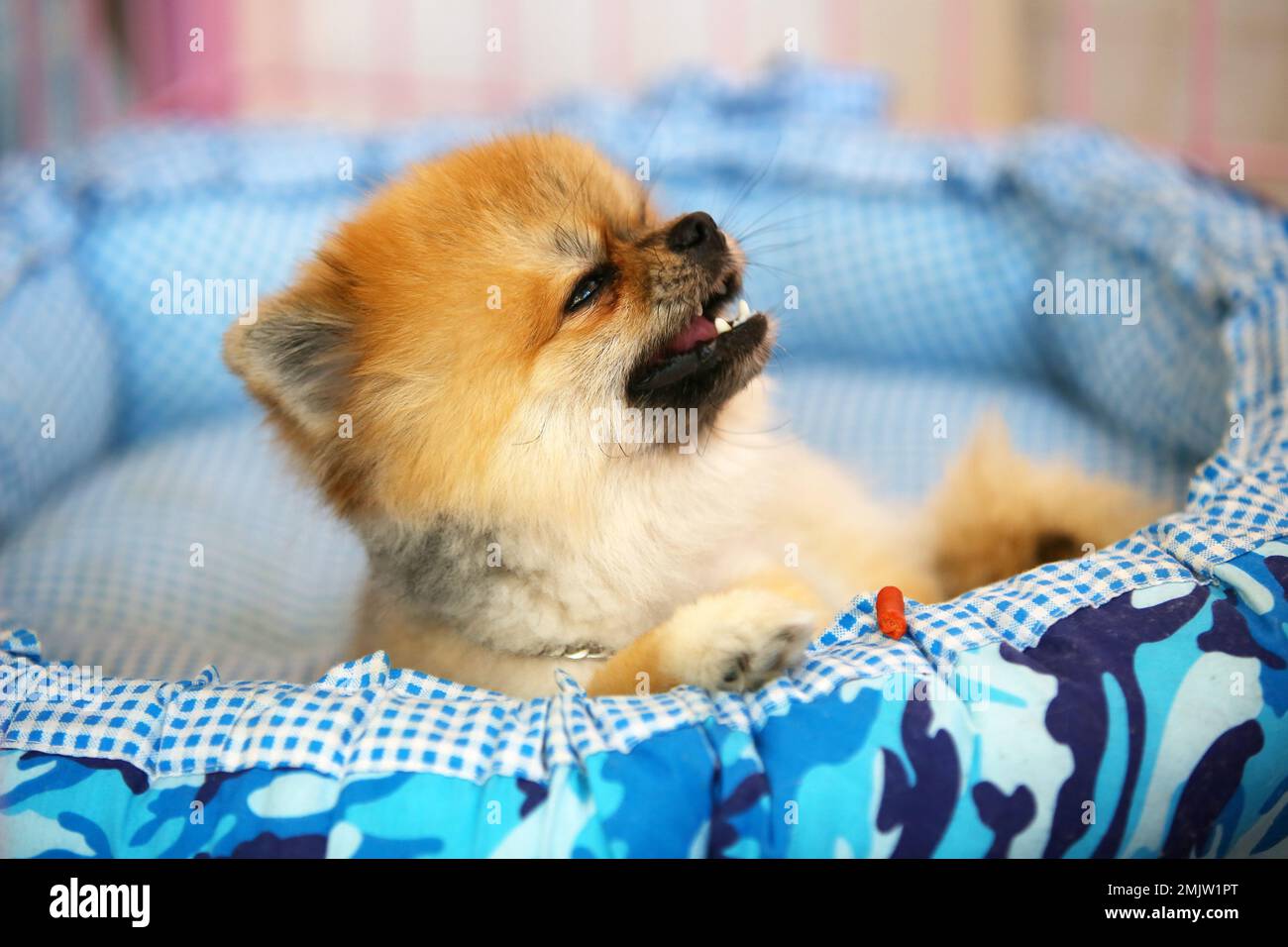 Bed molding hi-res stock photography and images - Alamy