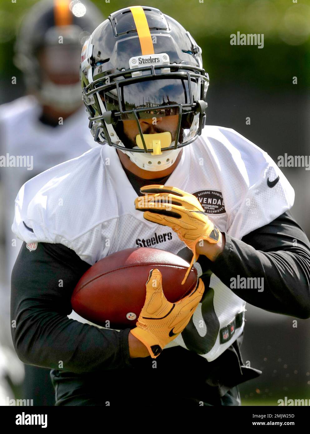 FILE - This May 21, 2019, file photo shows Pittsburgh Steelers running ...