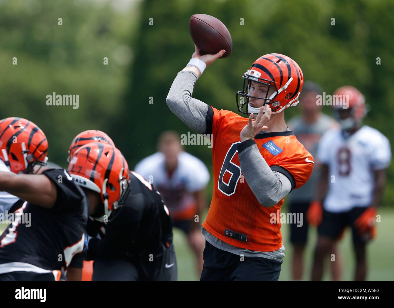 Cincinnati Bengals quarterback Jeff Driskel throws during an NFL ...