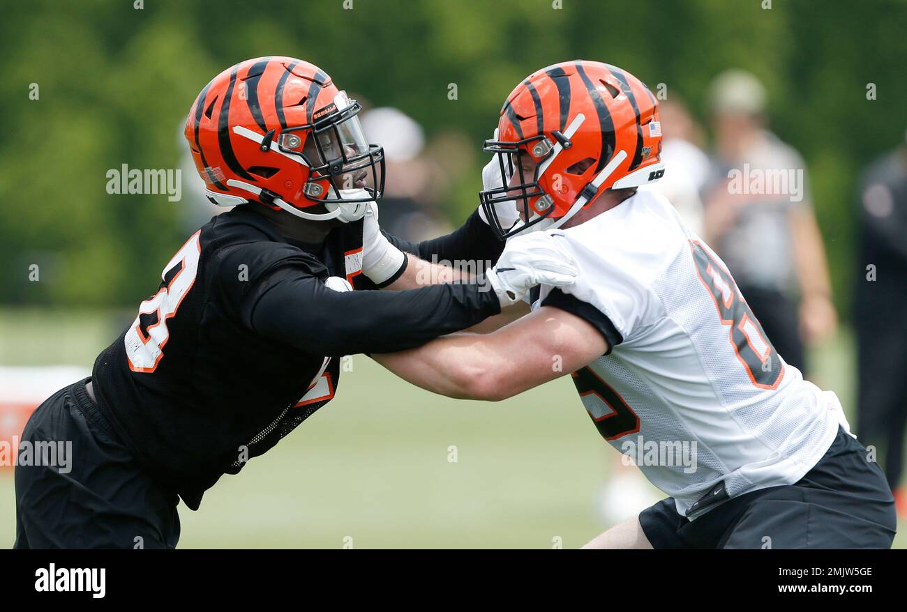 Cincinnati Bengals linebacker Deshaun Davis, left, and tight end Drew ...