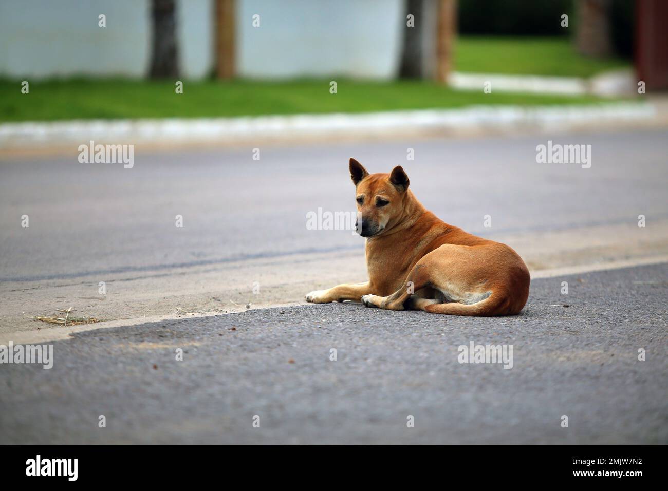 Waiting beside car hi-res stock photography and images - Alamy