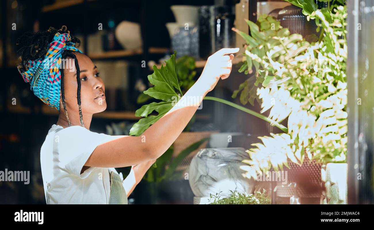 Small business, black woman and entrepreneur as a florist at a plant ...