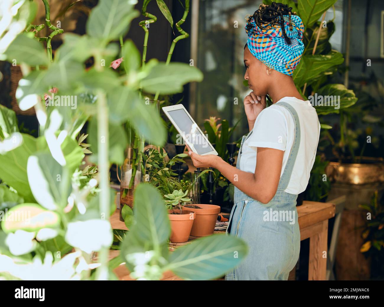 Agro shop hi-res stock photography and images - Alamy