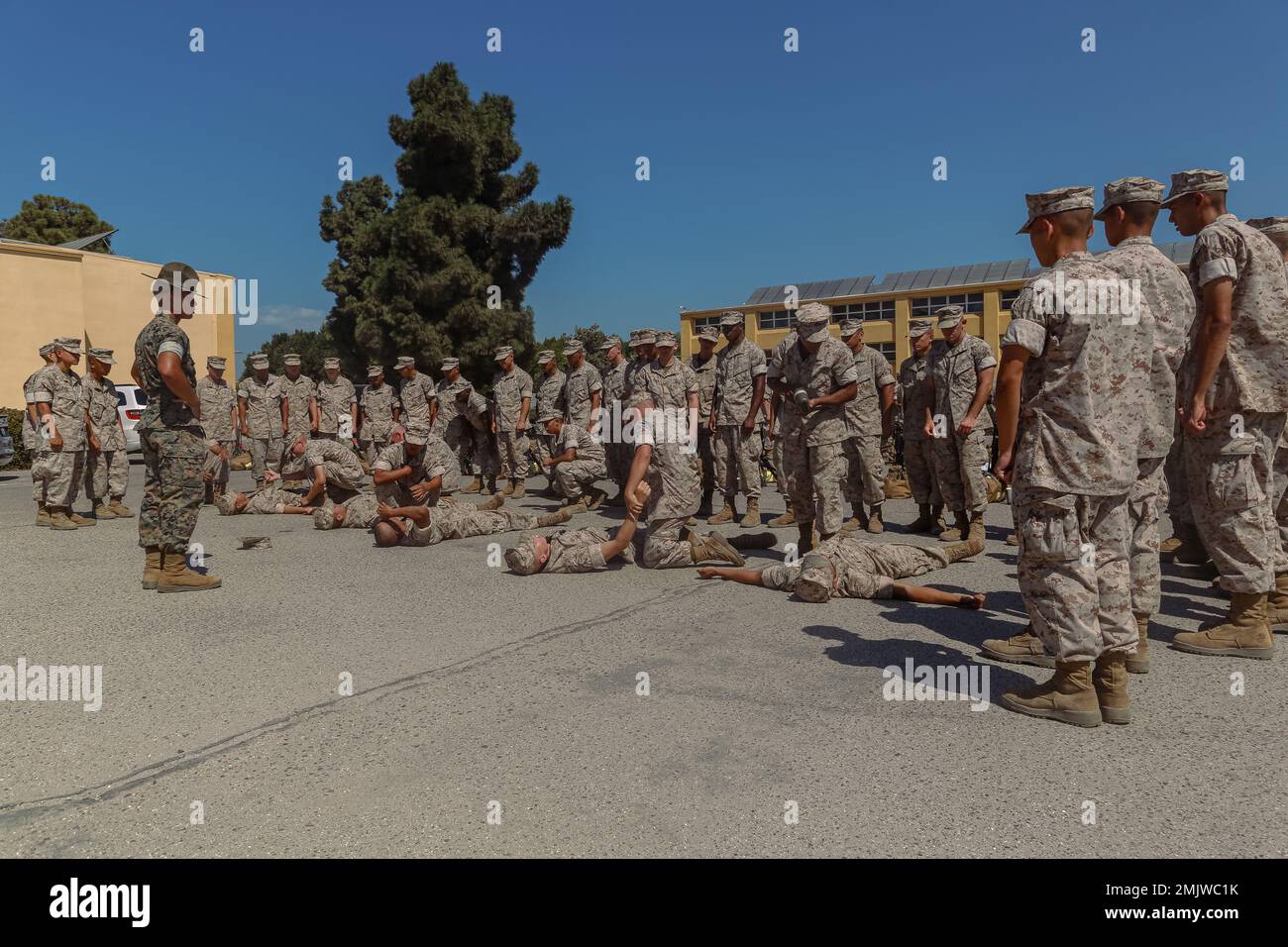 U s marine echo company battalion hi-res stock photography and images ...