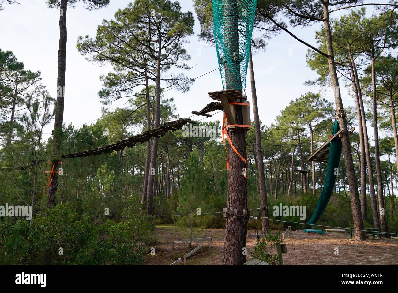 Elements of adventure park with rope trails framed in pine wooden ...