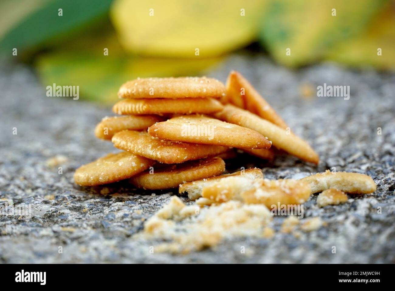 Broken cracker isolated on white background. Crushed dry cracker ...