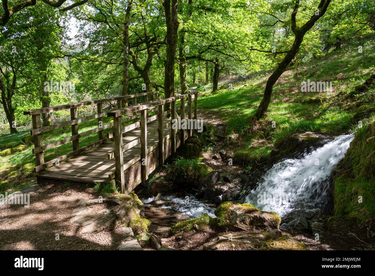 The Watkin Path where it passes through oak woodland before reaching ...