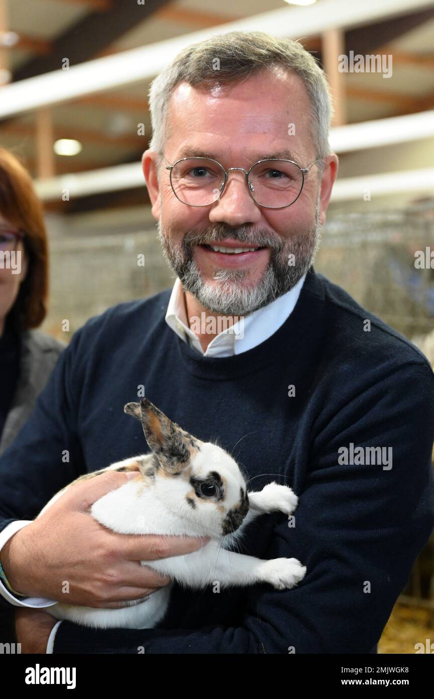 Rabbit show germany hi-res stock photography and images - Alamy