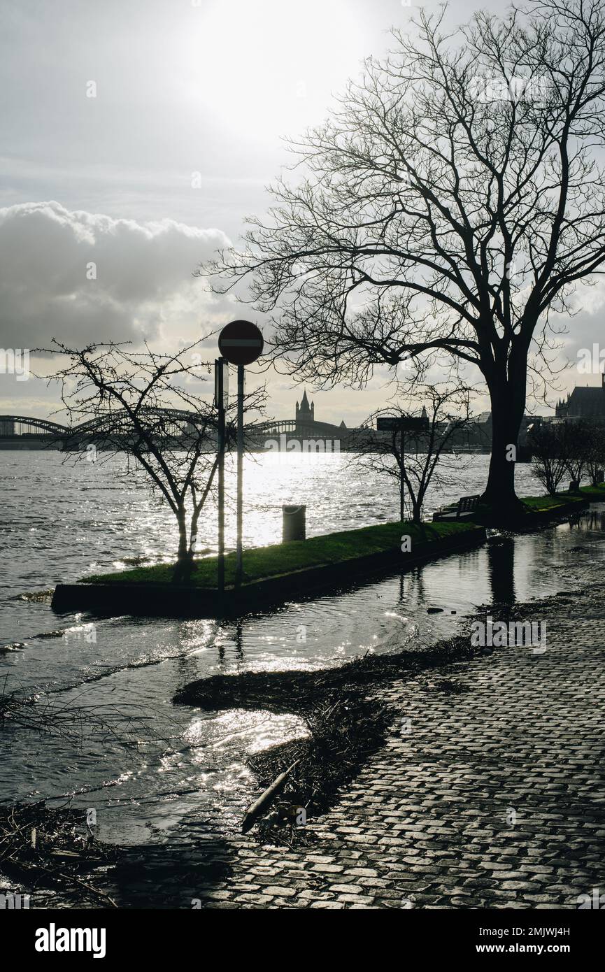 COLOGNE, GERMANY - JANUARY 17, 2023: High water after heavy rainfall ...