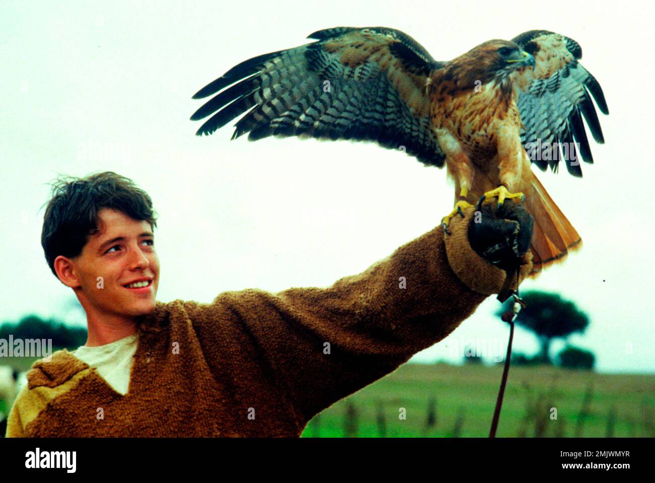 Ladyhawke (1985) matthew broderick hi-res stock photography and images ...