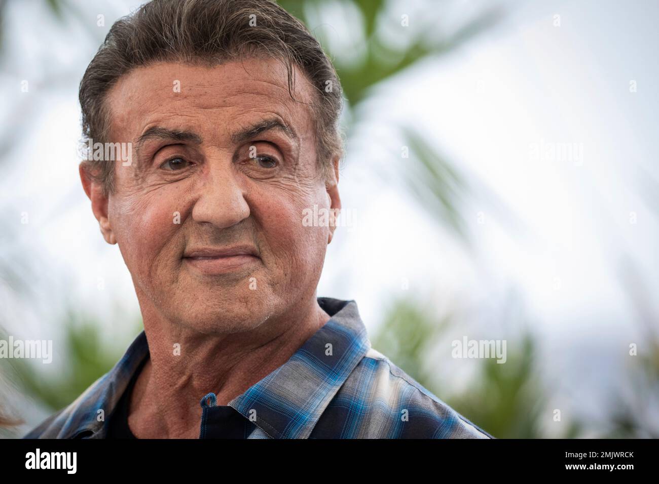 Actor Sylvester Stallone poses for photographers at the photo call for ...