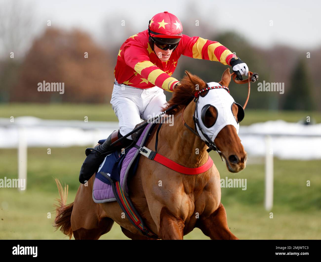 Good Bye ridden by Phillip Armson wins the Happy 60th Birthday Neil ...