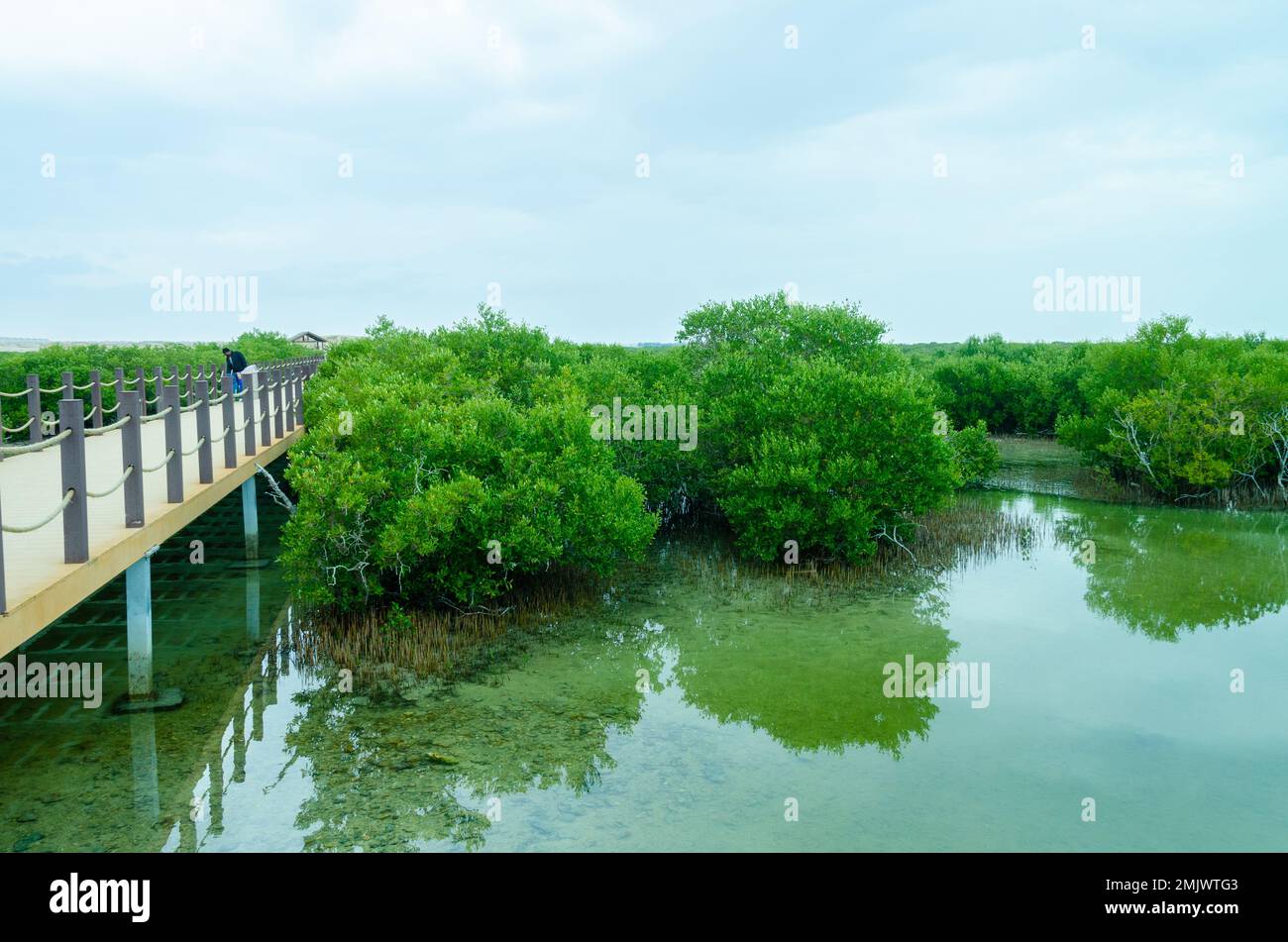 Mesmerizing beauty of Purple Island at Al Khor, Qatar Stock Photo - Alamy