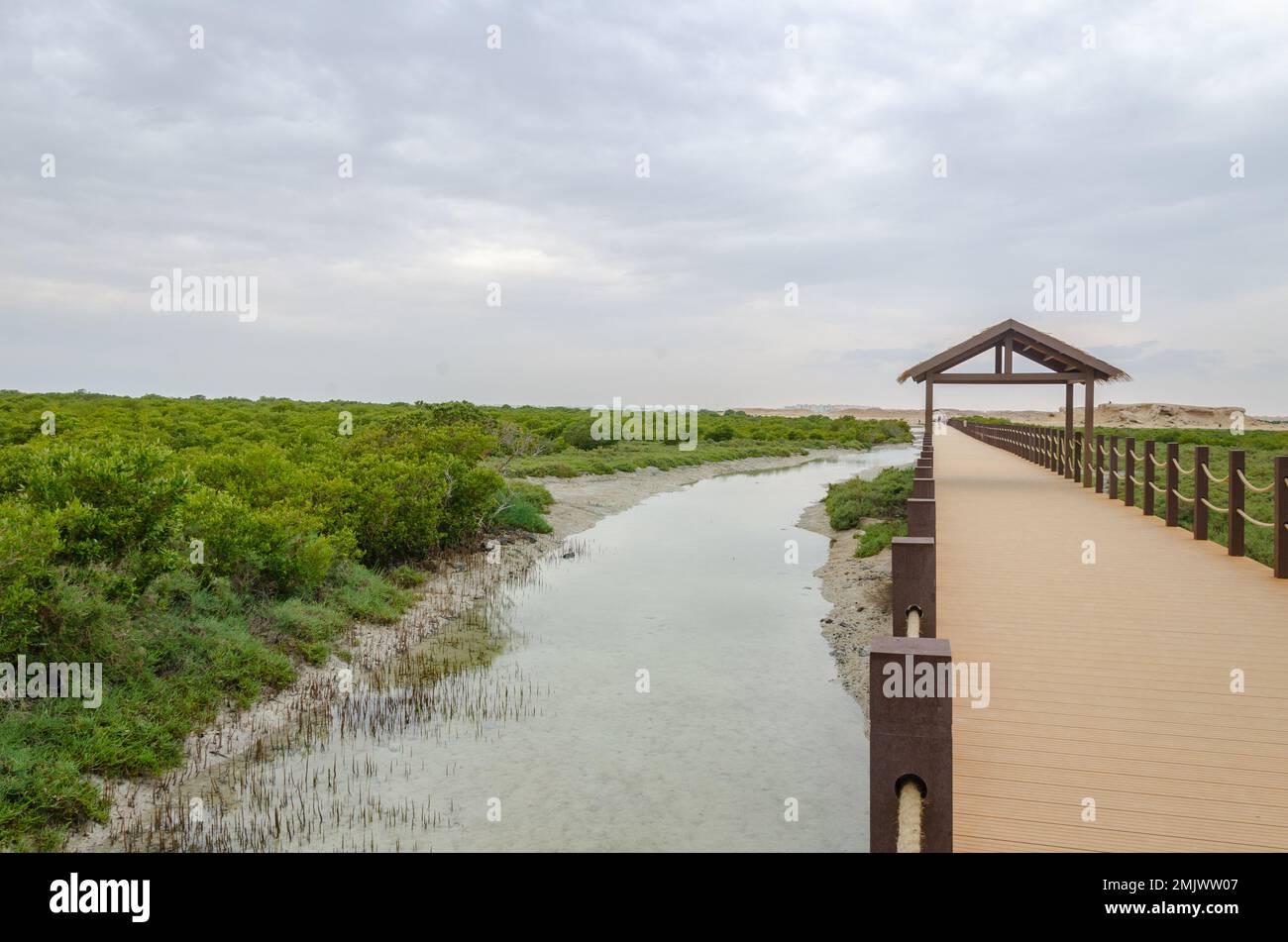 Mesmerizing beauty of Purple Island at Al Khor, Qatar Stock Photo - Alamy