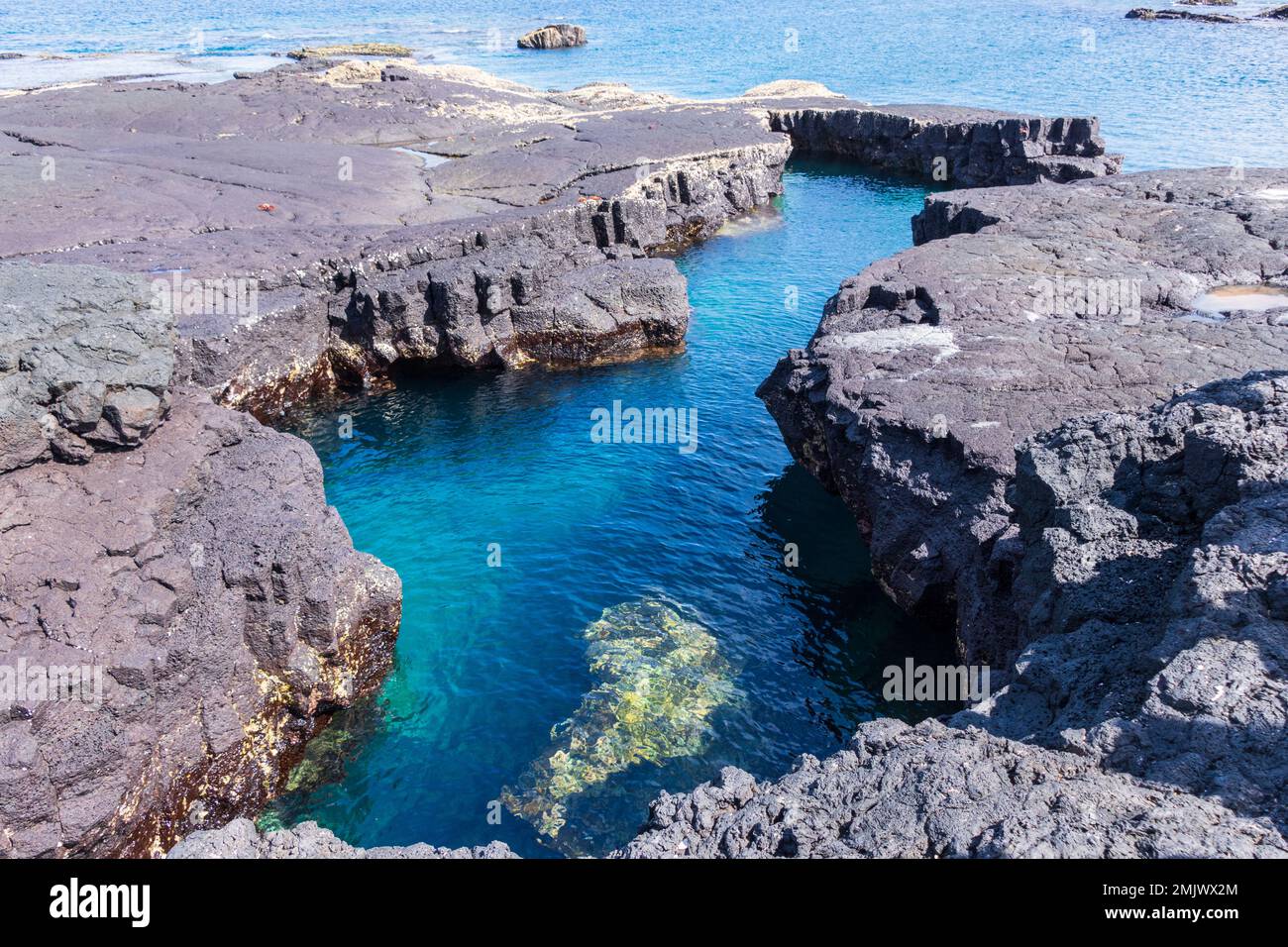 A view of one of the many rock pools along Santiago Island (Isla ...