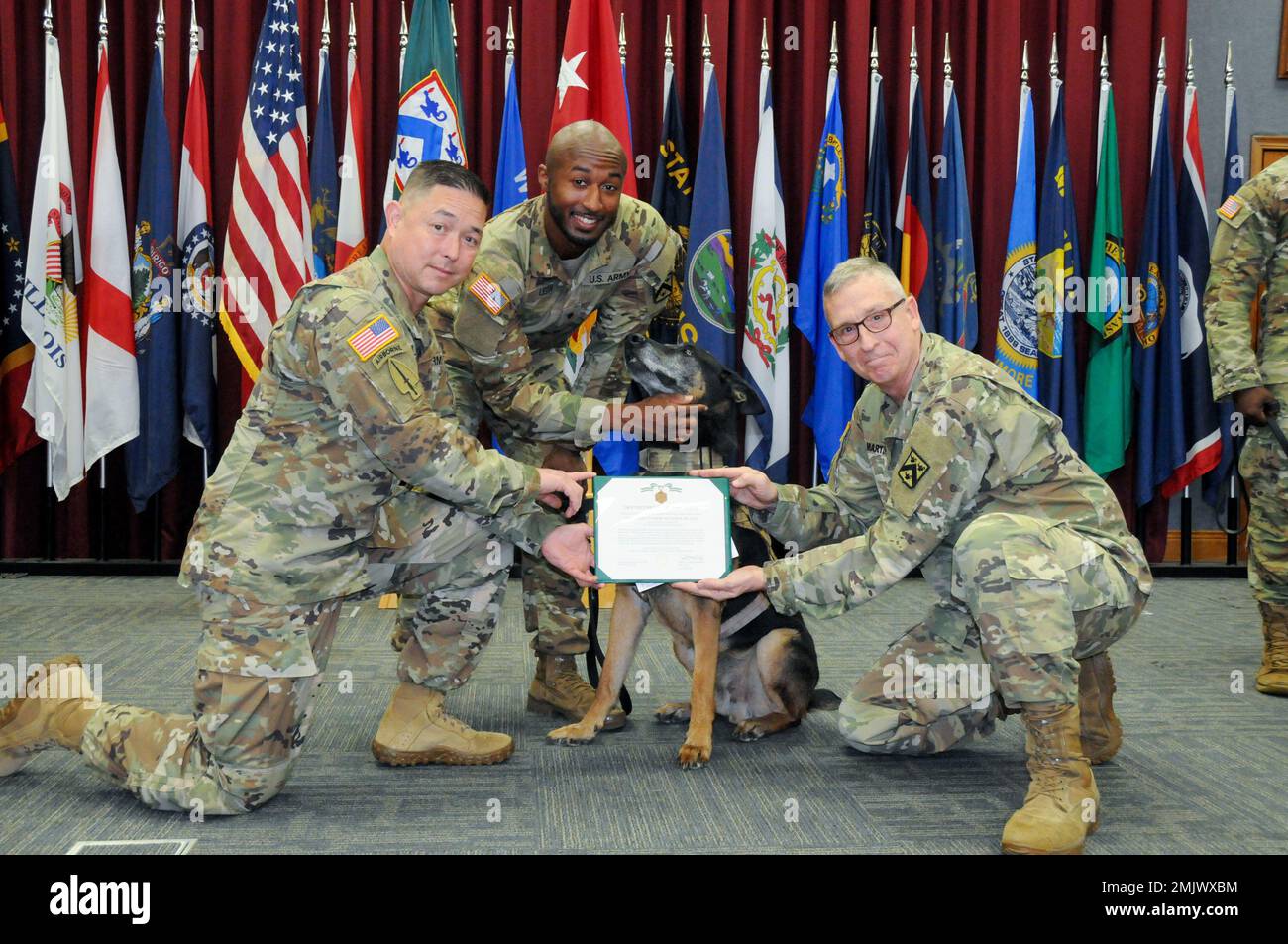 MWD Roy is awarded an Army Commendation Medal by Lt. Gen. Theodore D ...