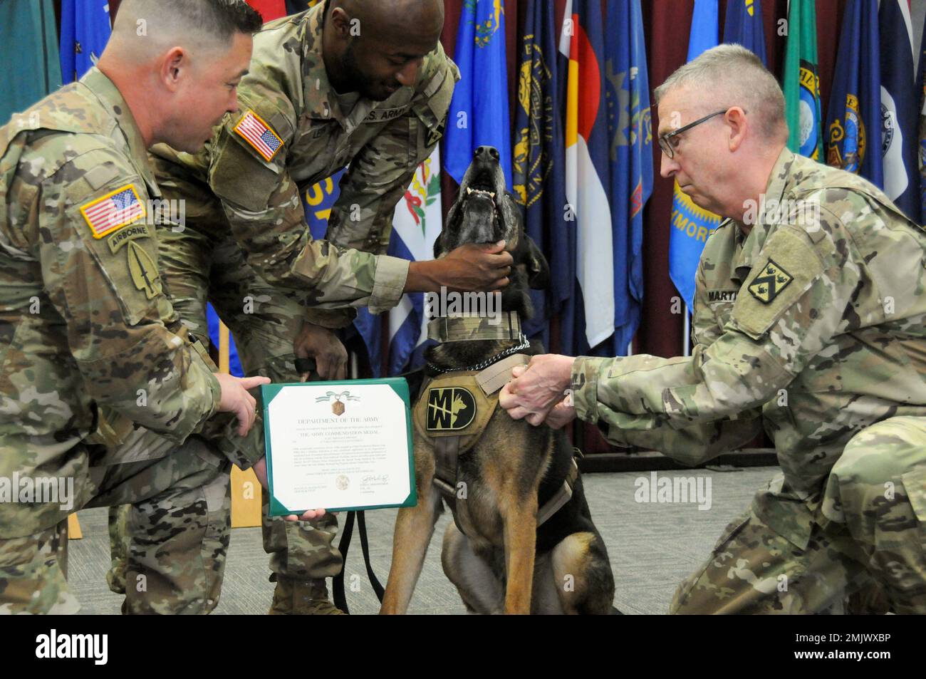 MWD Roy is awarded an Army Commendation Medal by Lt. Gen. Theodore D ...