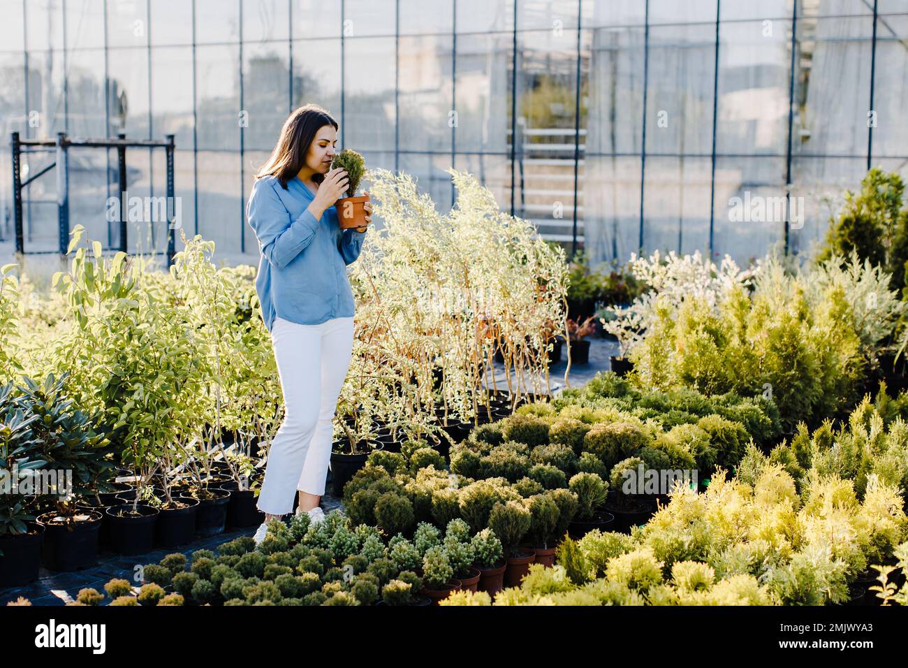 A young woman stands outside a plant shop and chooses a pot with a ...