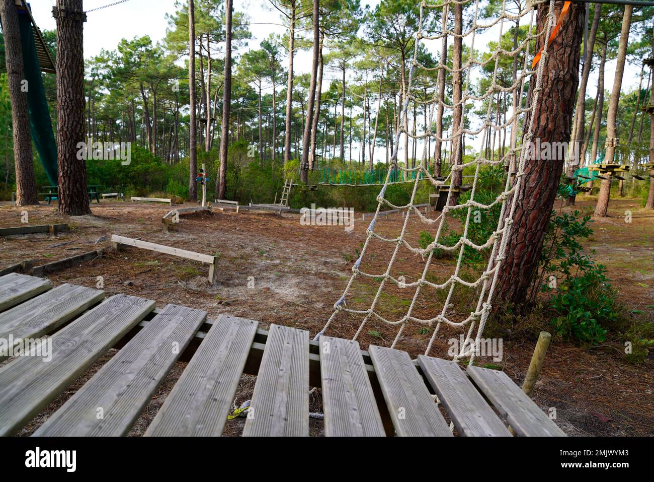 rope adventure climbing high wire park tree climbing course in pine ...