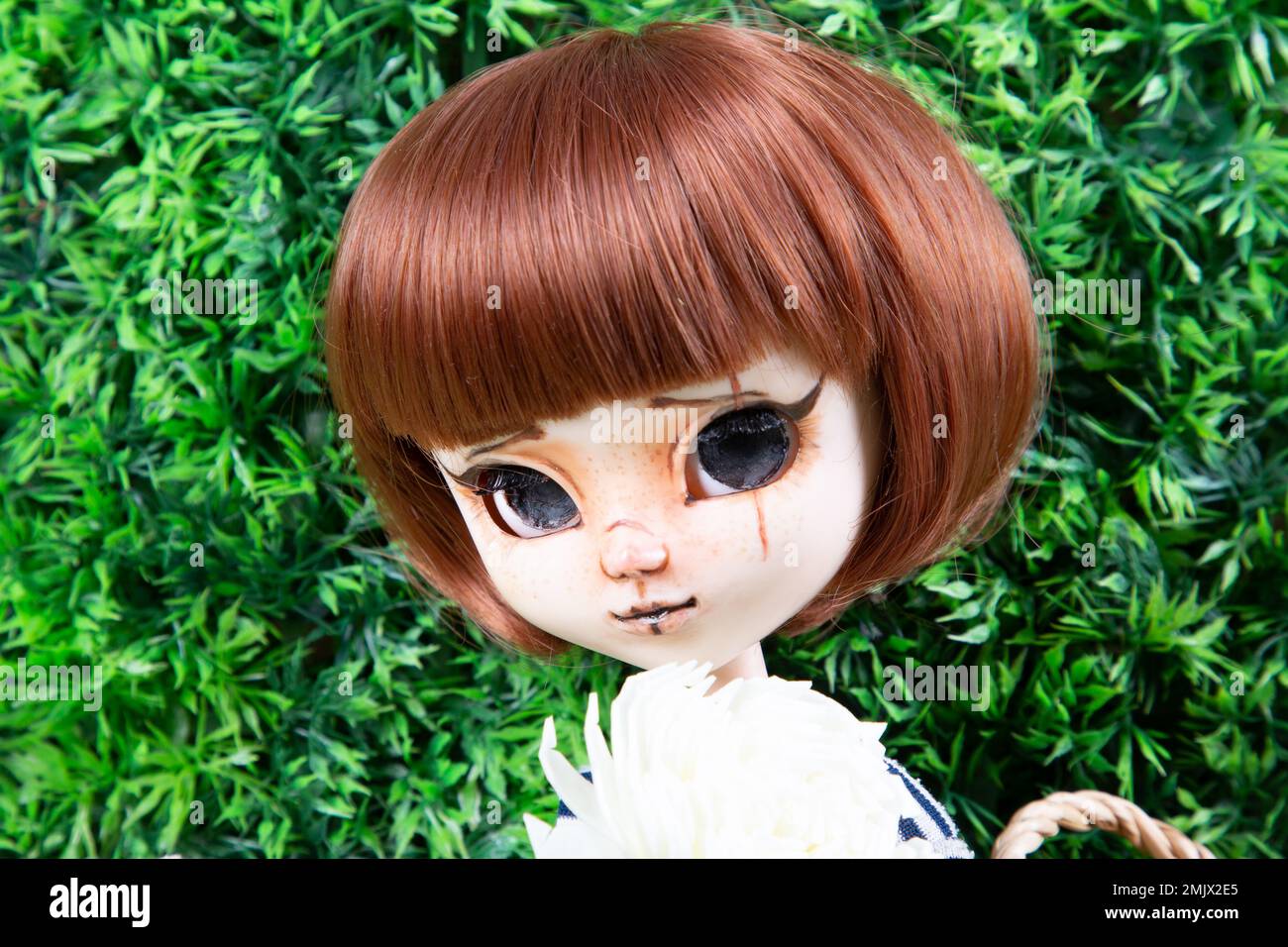 doll face portrait in green background Stock Photo - Alamy