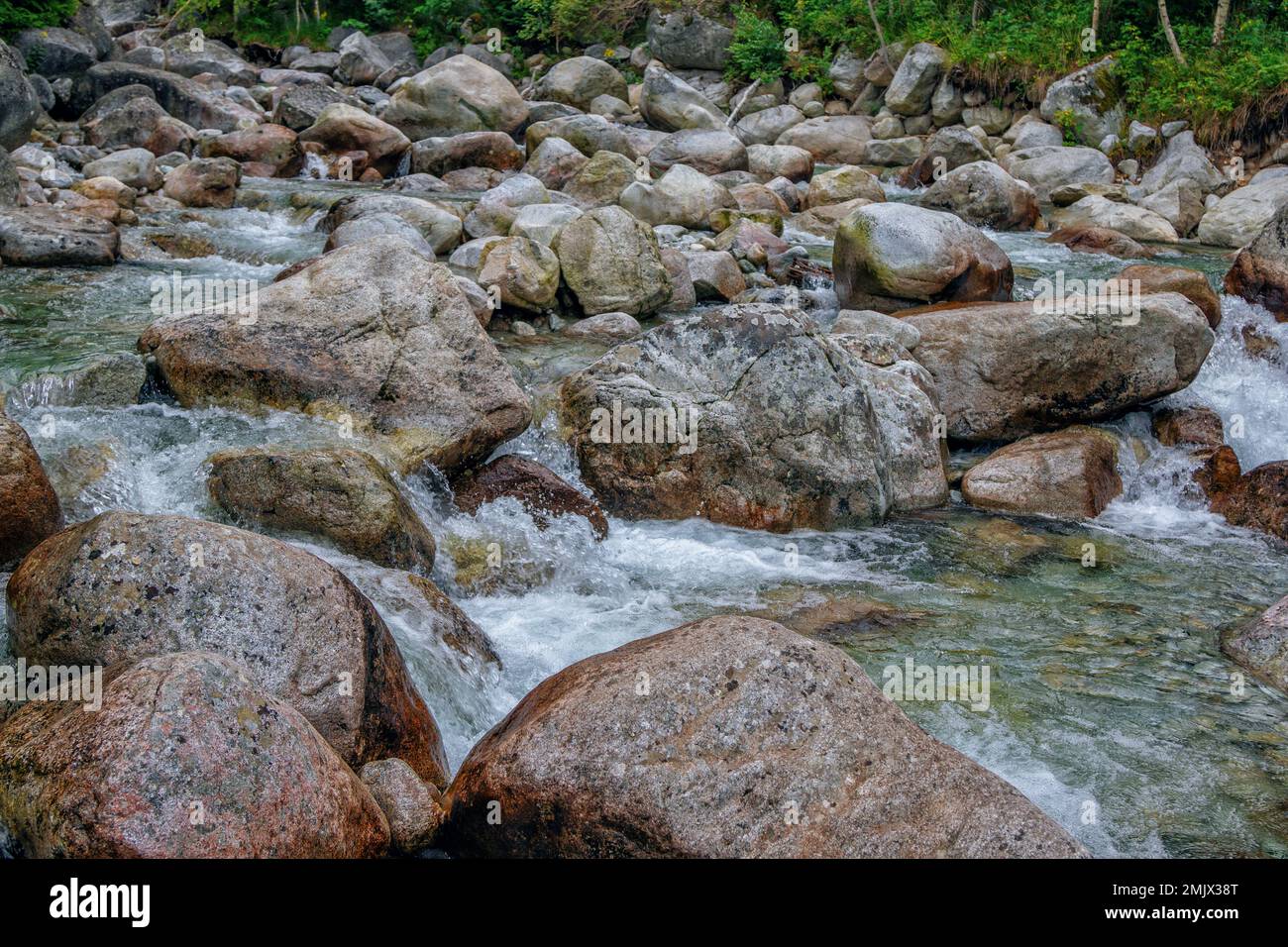 Summer landscape - close up mountain river in a forest - crystal pure ...