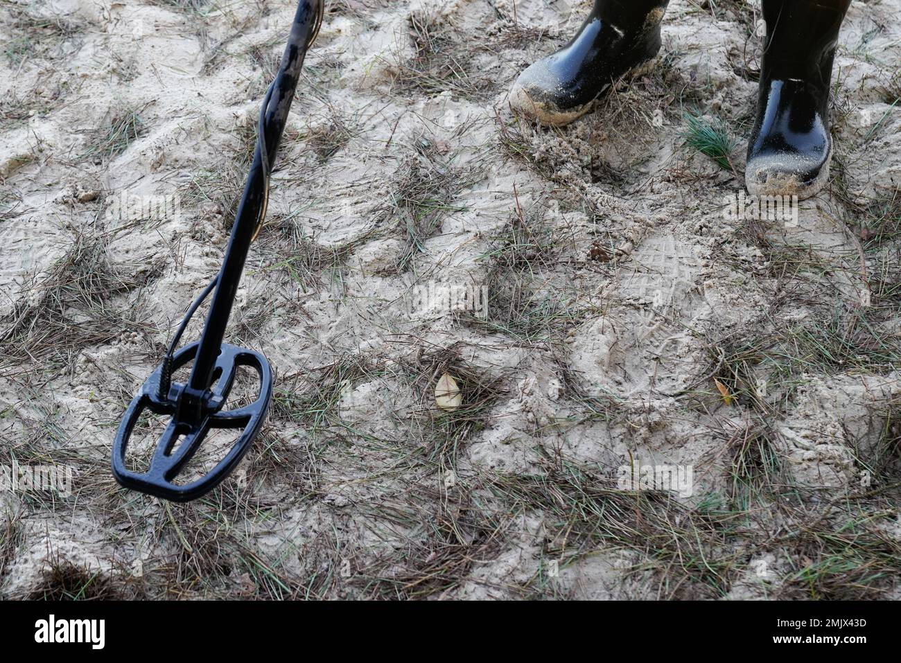 man is looking in beach sand with a metal detector in boots Stock Photo ...