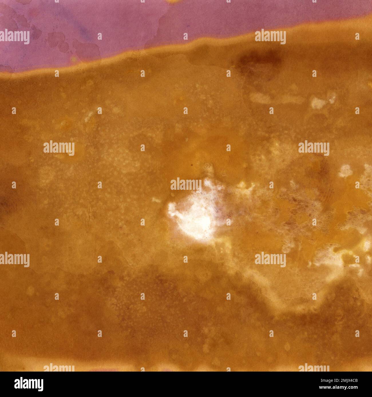 Abstract stained lumen print texture background. An image created on ...