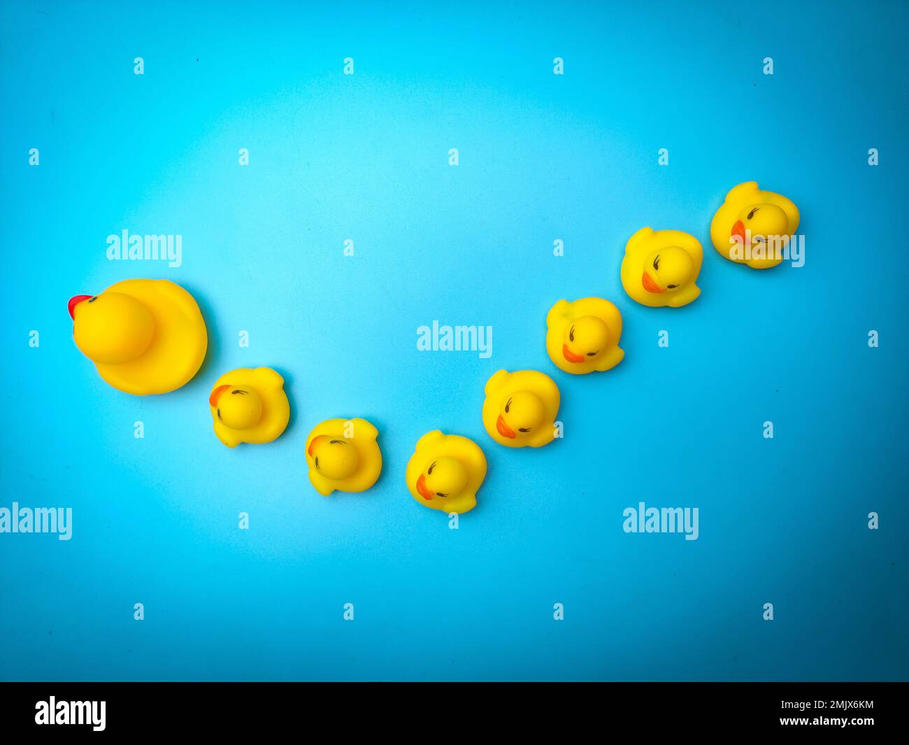 A yellow duck with its chicks on a blue background Stock Photo - Alamy