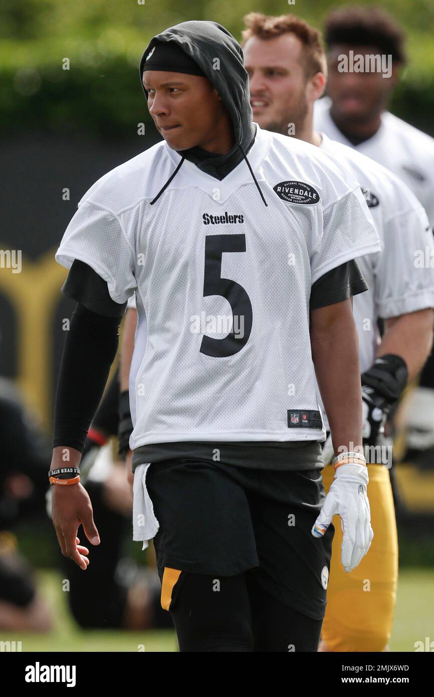 Pittsburgh Steelers quarterback Joshua Dobbs (5) during an NFL football ...