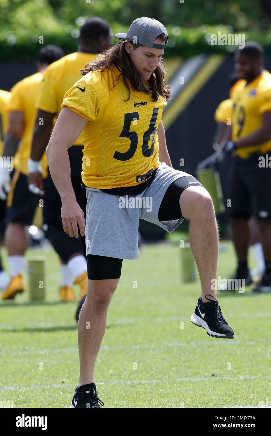 Pittsburgh Steelers linebacker Anthony Chickillo during an NFL football ...
