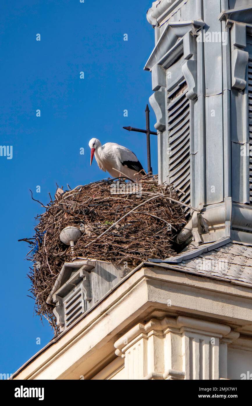 A stork in a nest made of branches on the roof of a building Stock ...