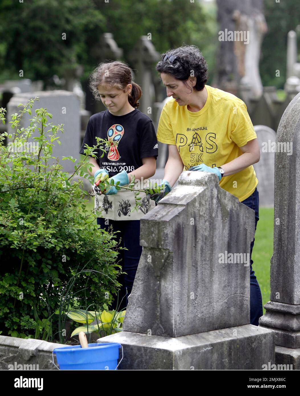Celina Gray, right, and her daughter Kalliope Kourelis, trim a rose bush growing on the cradle ...
