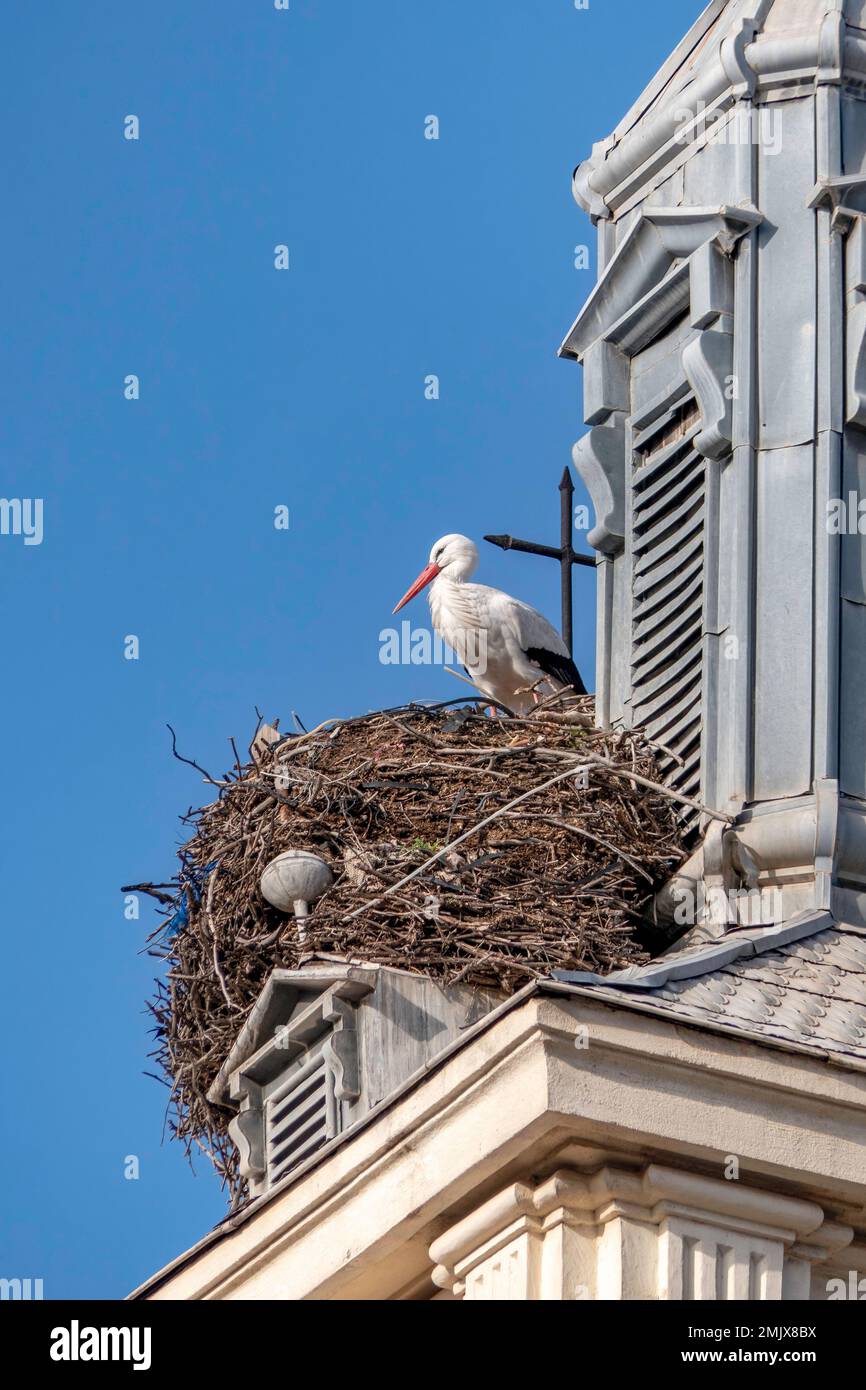 A stork in a nest made of branches on the roof of a building Stock ...