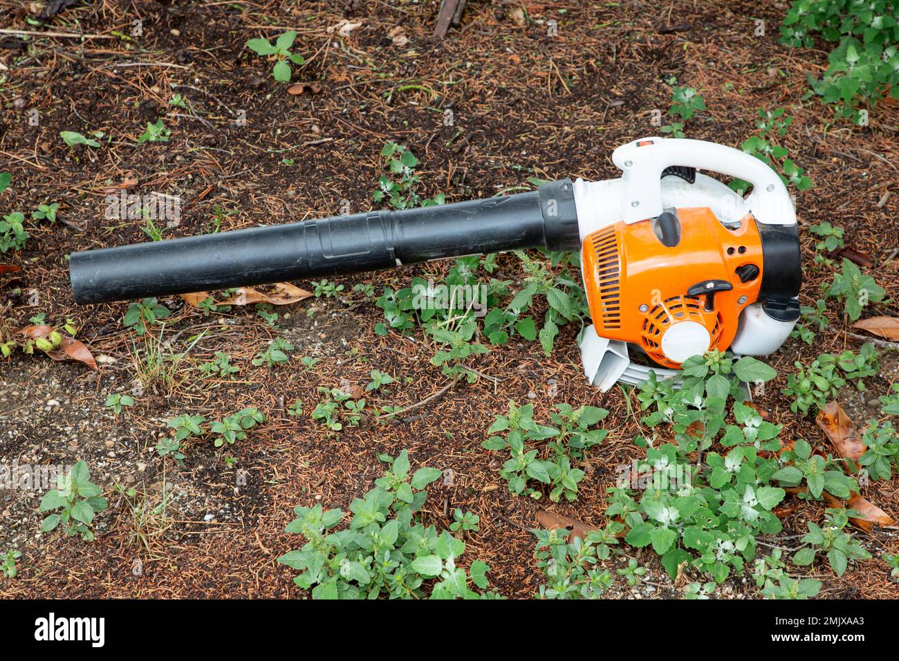 Garden leaf blower on floor ground garden Stock Photo - Alamy