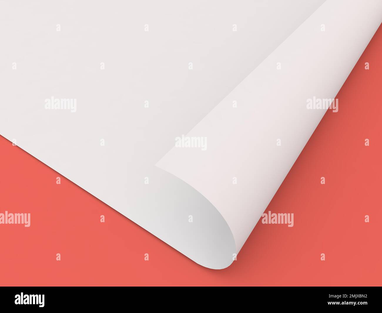 Curved sheet of A4 paper on a red background. 3d render illustration ...