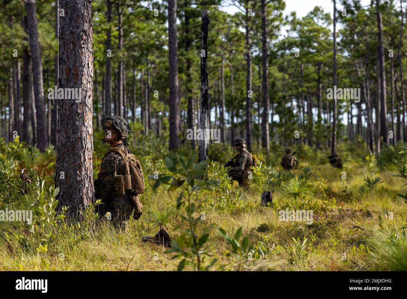 U.S Marines with 2d Combat Engineer Battalion, 2d Marine Division, post ...