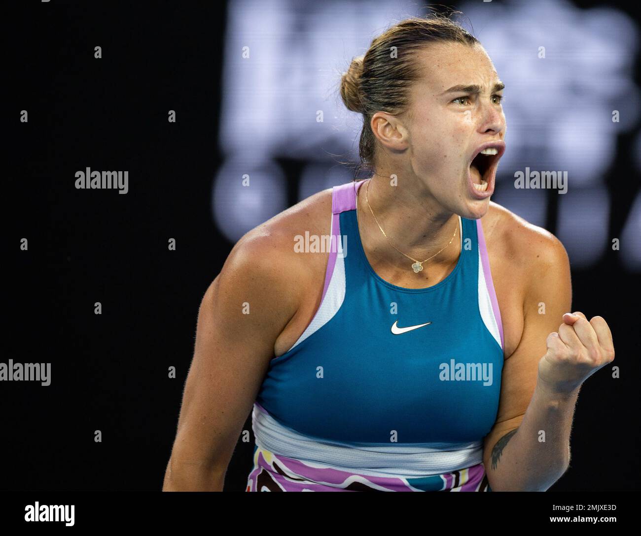 Elena rybakina aryna sabalenka hi-res stock photography and images - Alamy