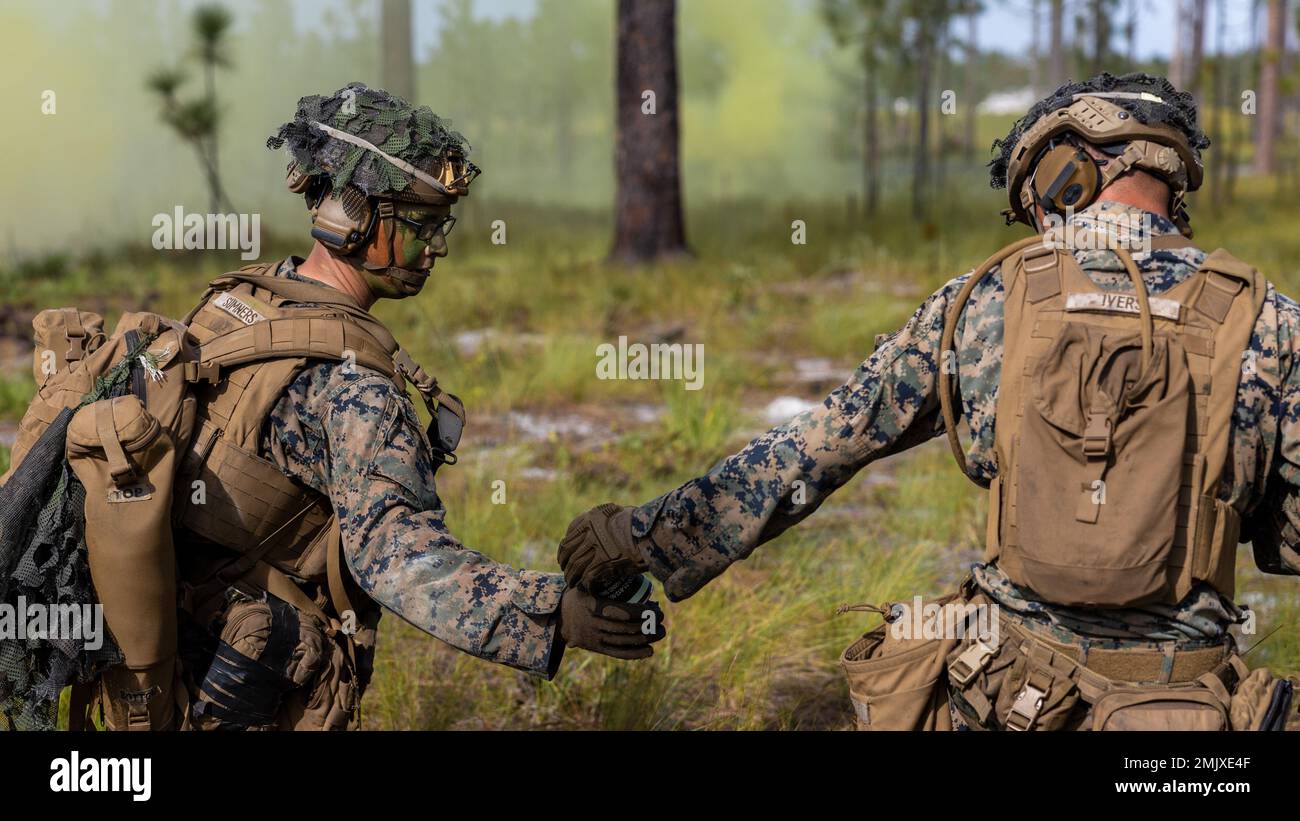 U.S Marines with 2d Combat Engineer Battalion, 2d Marine Division, pass ...