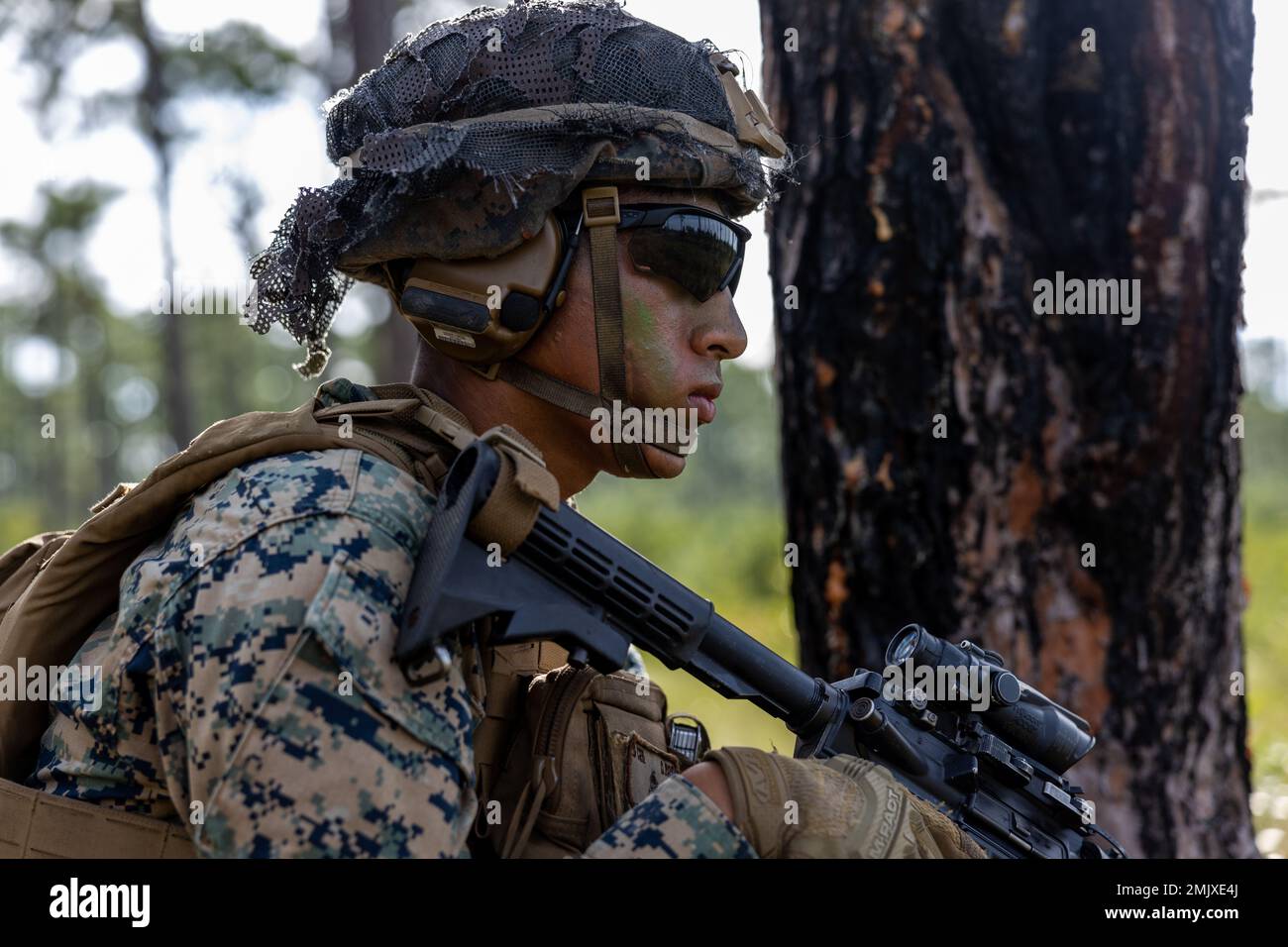 Fire gaps hi-res stock photography and images - Alamy