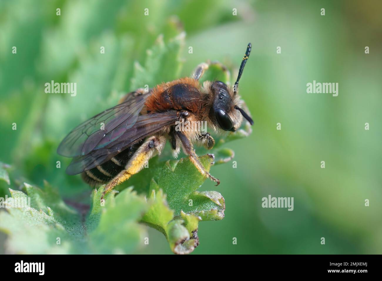 Sitting tip hi-res stock photography and images - Alamy