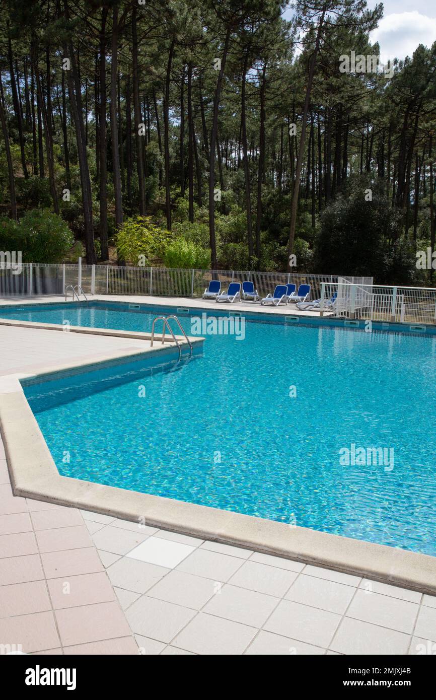 Outdoor in ground residential swimming pool in pine trees forest in ...