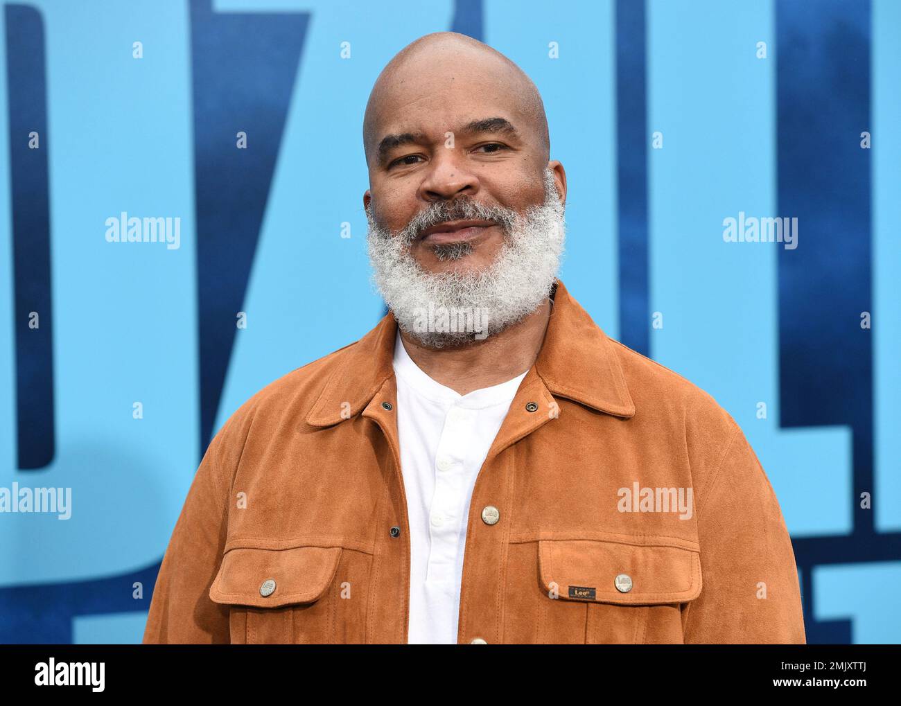 David Alan Grier arrives at the Los Angeles premiere of "Godzilla: King ...