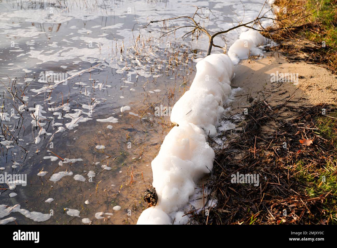 chemical origin on the surface polluted foam dirty water pollution junk ...