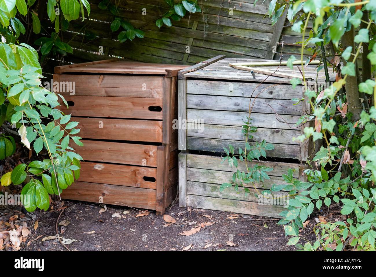 two wooden compost bin in family garden home Stock Photo - Alamy