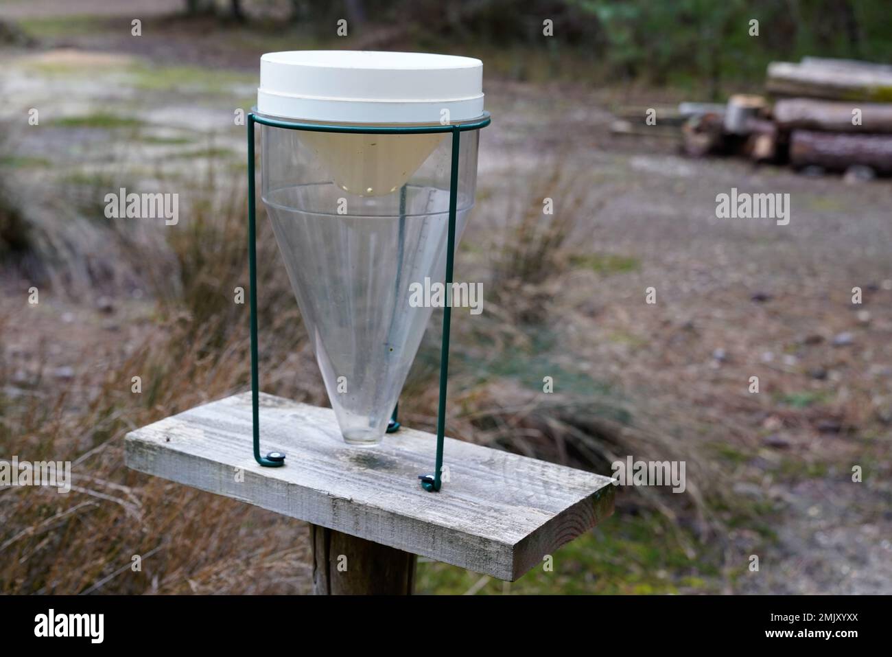 Meteorology filled rain gauge empty water meter with forest park ...