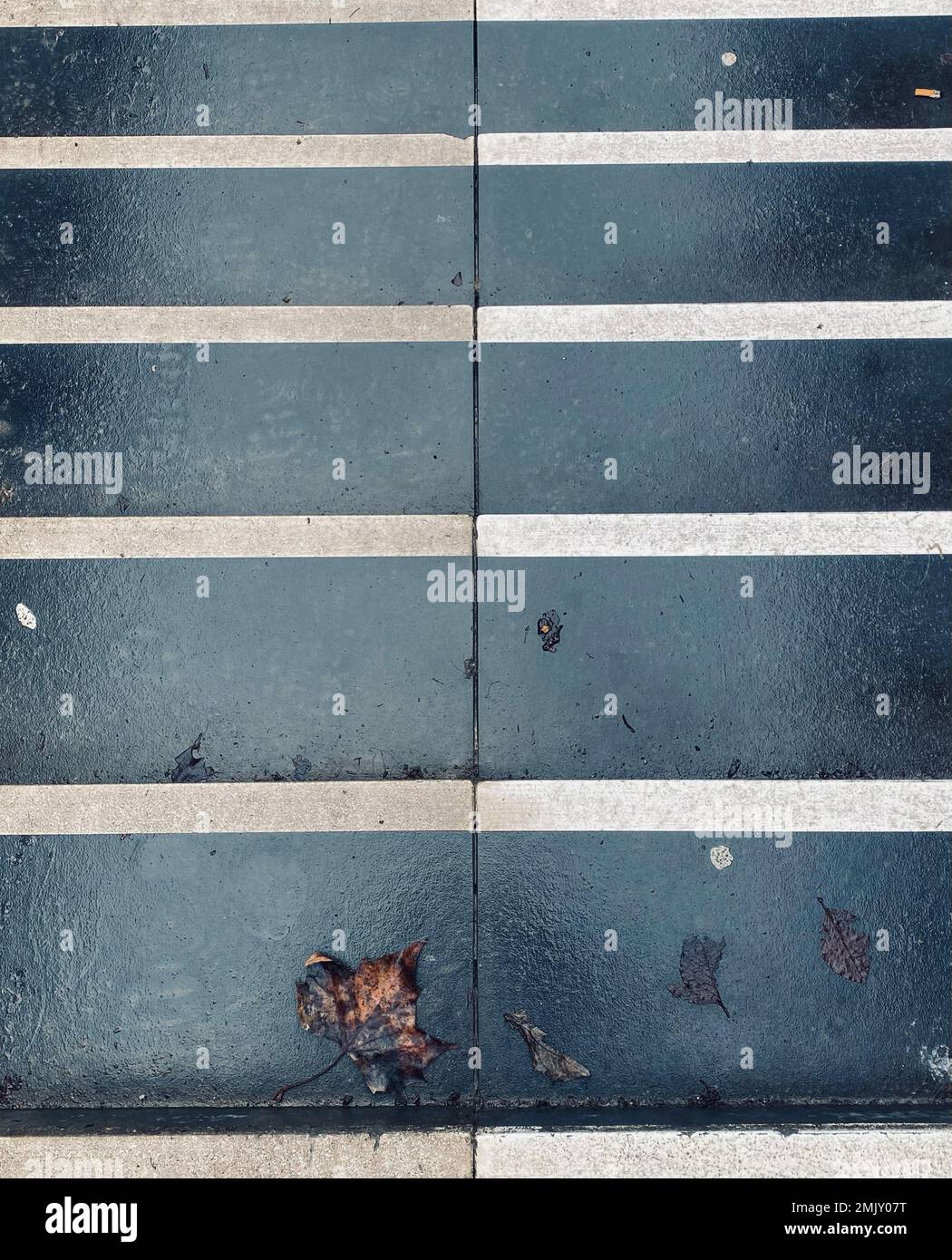 Slippery when wet sign road hi-res stock photography and images - Alamy